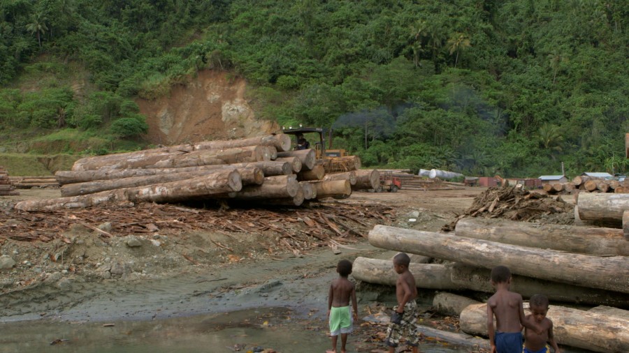 Global Land Grab: Rainforest Vanishing in Shady Deals, Report Says ...